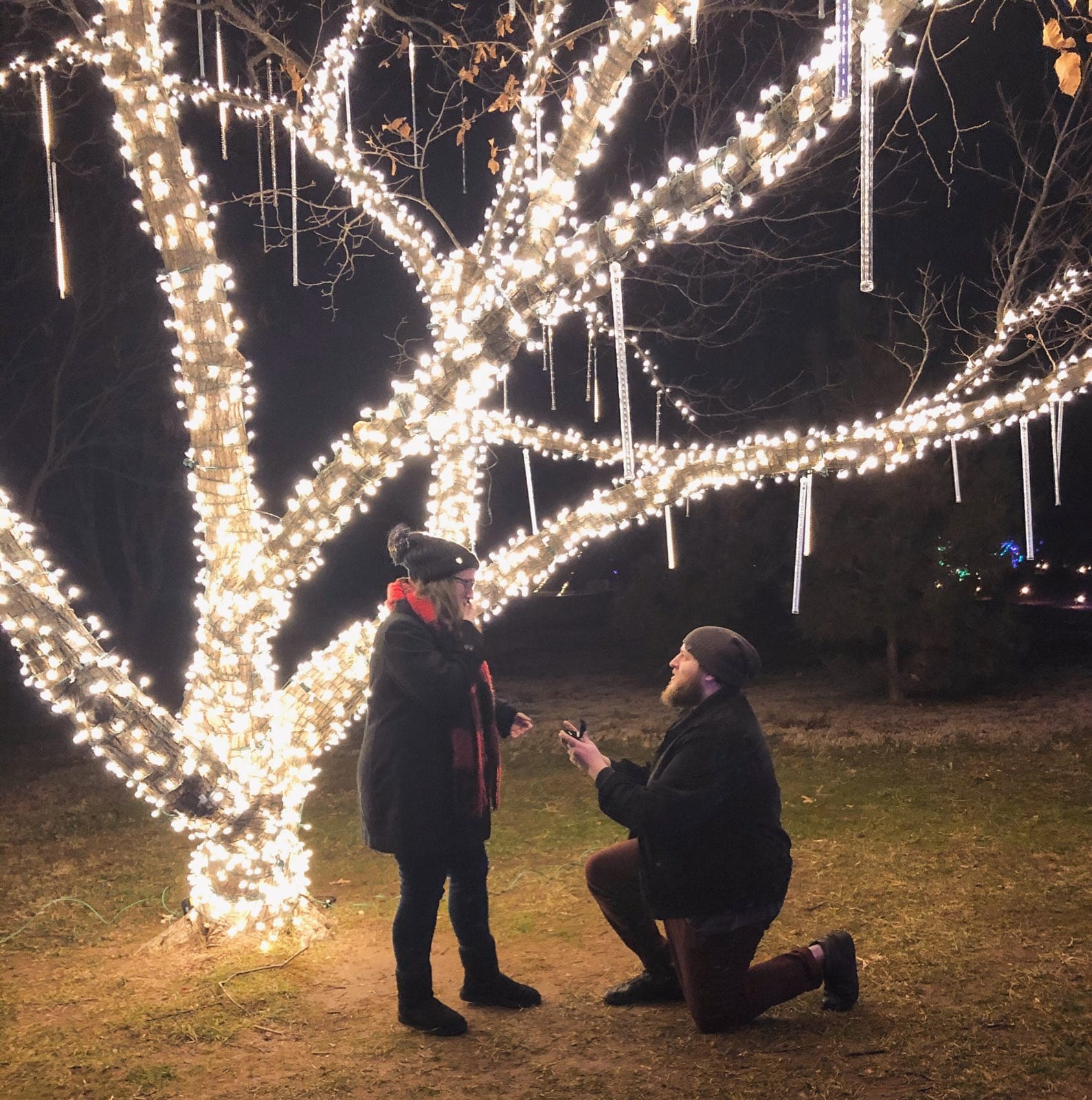 Gardens Aglow | Friends of the Garden