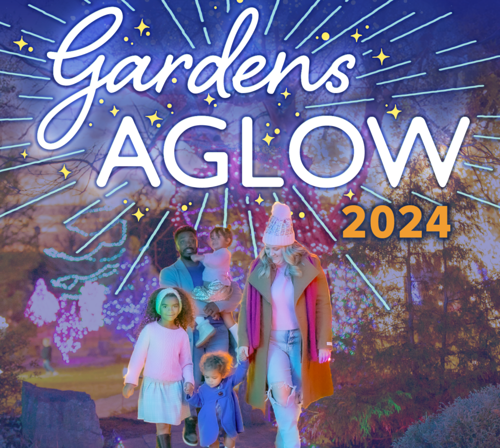 Gardens Aglow 2024 | Friends of the Garden